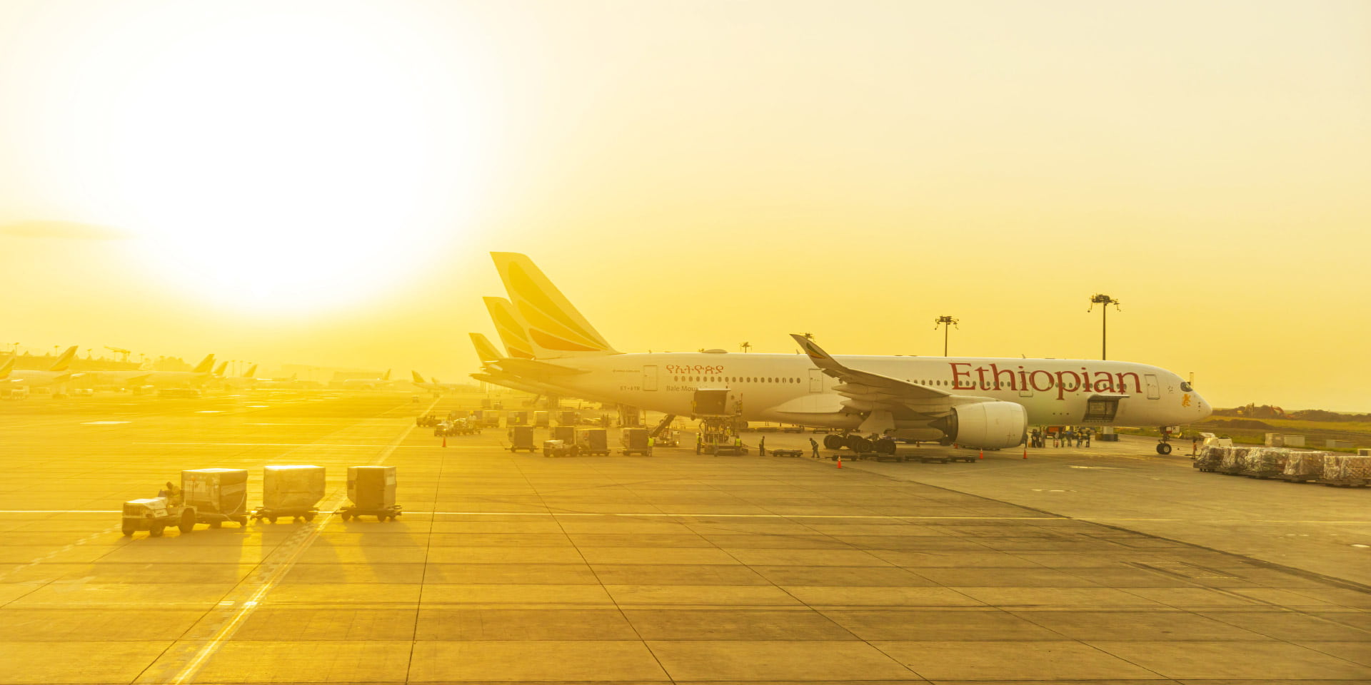 Bole Addis Ababa International Airport: What Travelers Need to Know