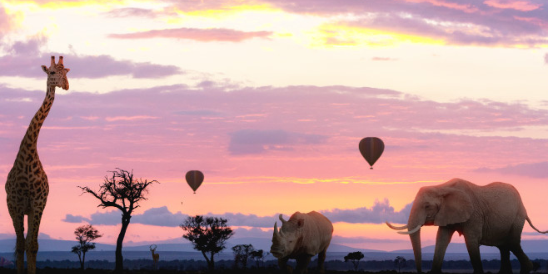 Hot Air Balloon Addis Ababa: A Bucket-List Ethiopian Experience